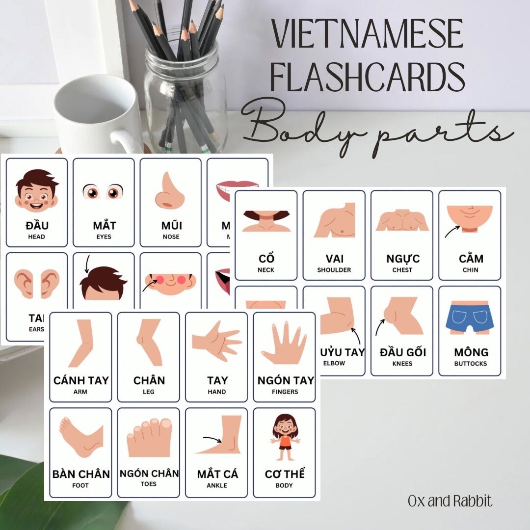 Bilingual Body Parts Flashcards in Vietnamese and English - Etsy