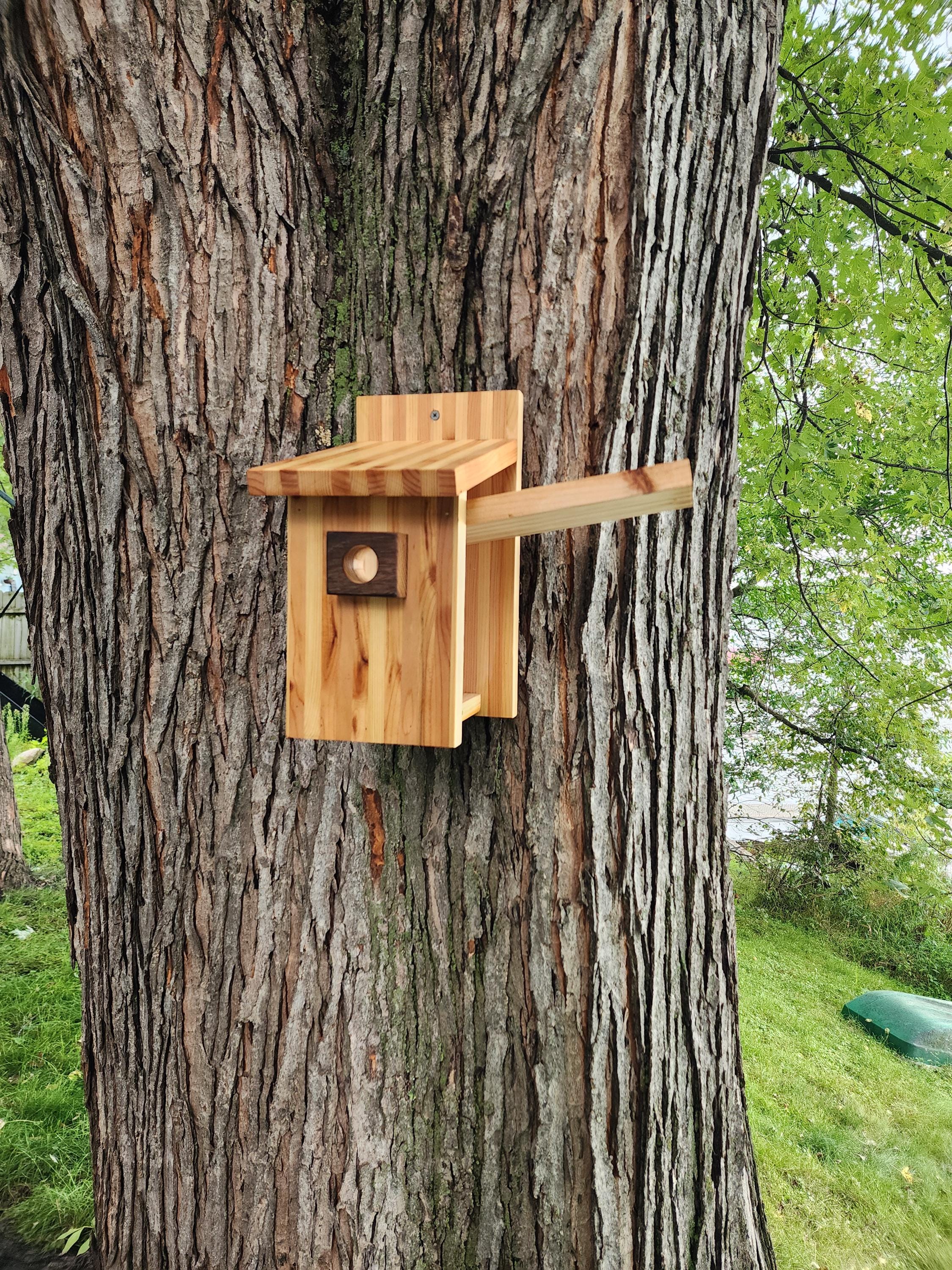 Unique Handmade Cedar Bird House White Oak Predator Guard Bird Box ...
