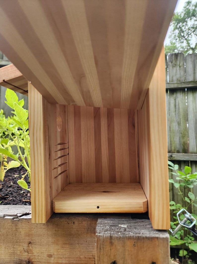 Unique Handmade Cedar Bird House White Oak Predator Guard Bird Box ...