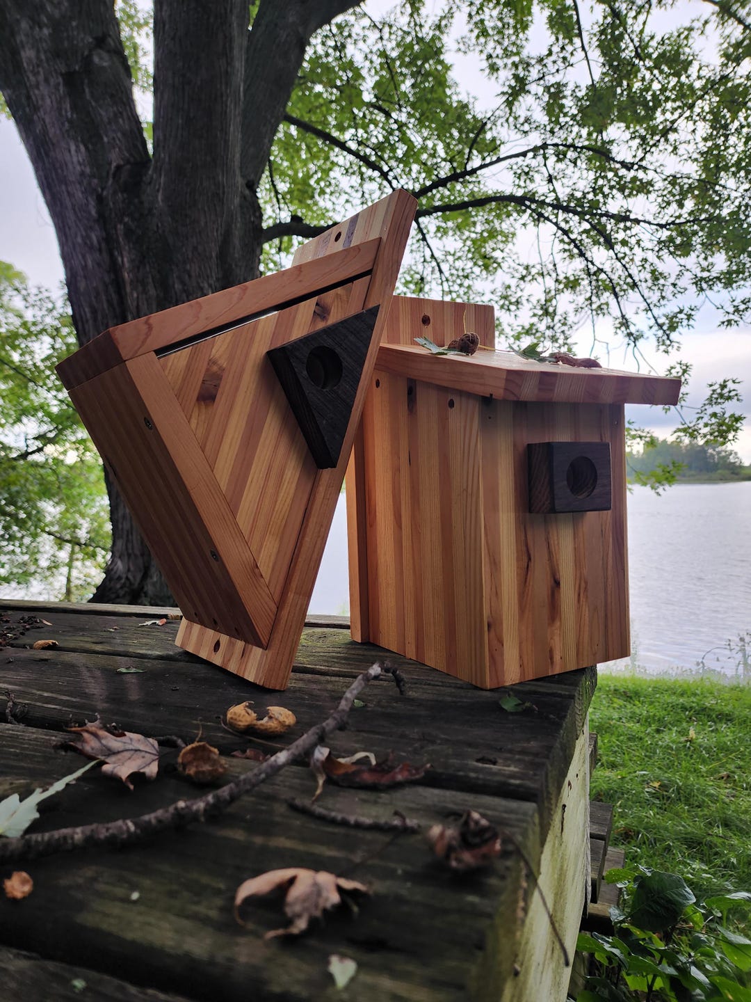 Handmade Cedar Birdhouse: White Oak Predator Guard, Wren Chickadee ...