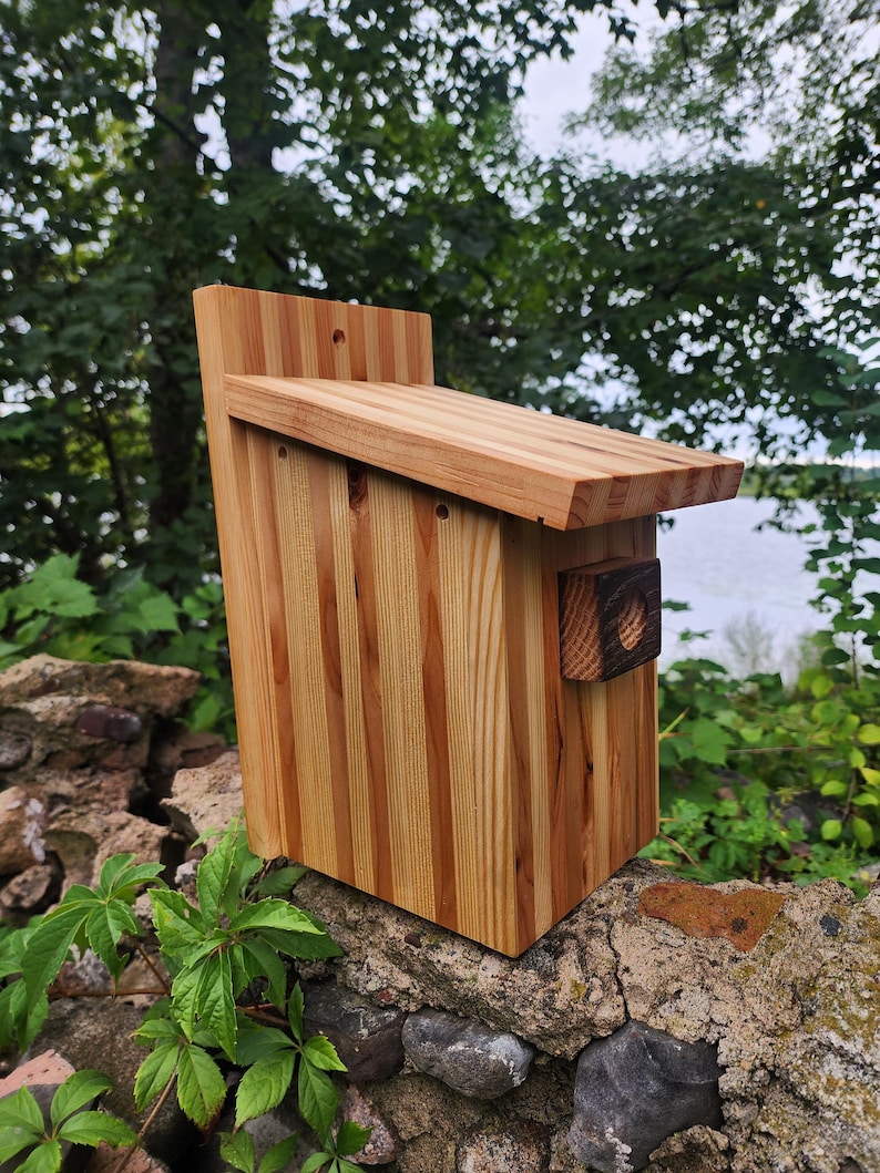 Unique Handmade Cedar Bird House White Oak Predator Guard Bird Box ...