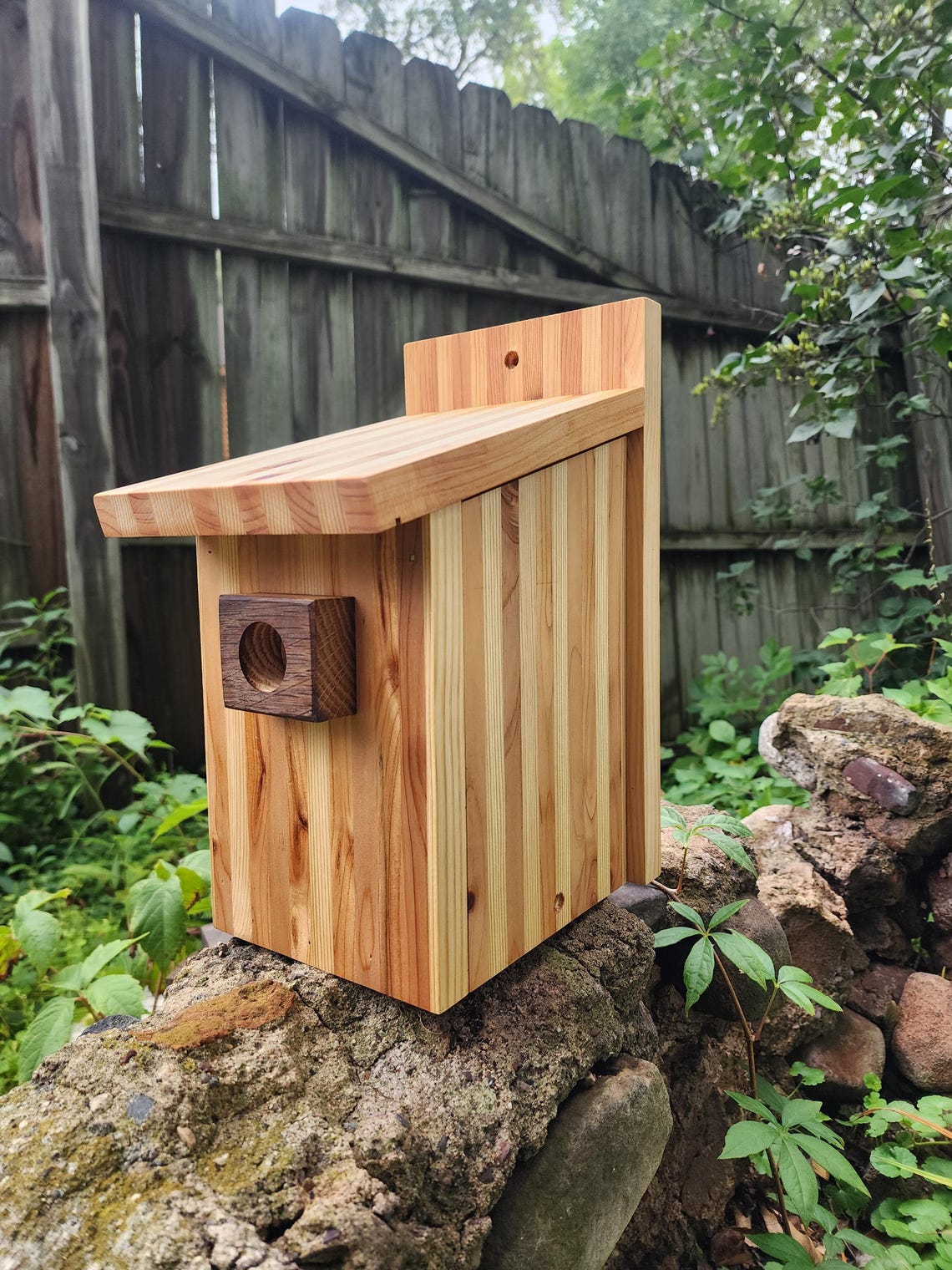 Unique Handmade Cedar Bird House White Oak Predator Guard Bird Box ...