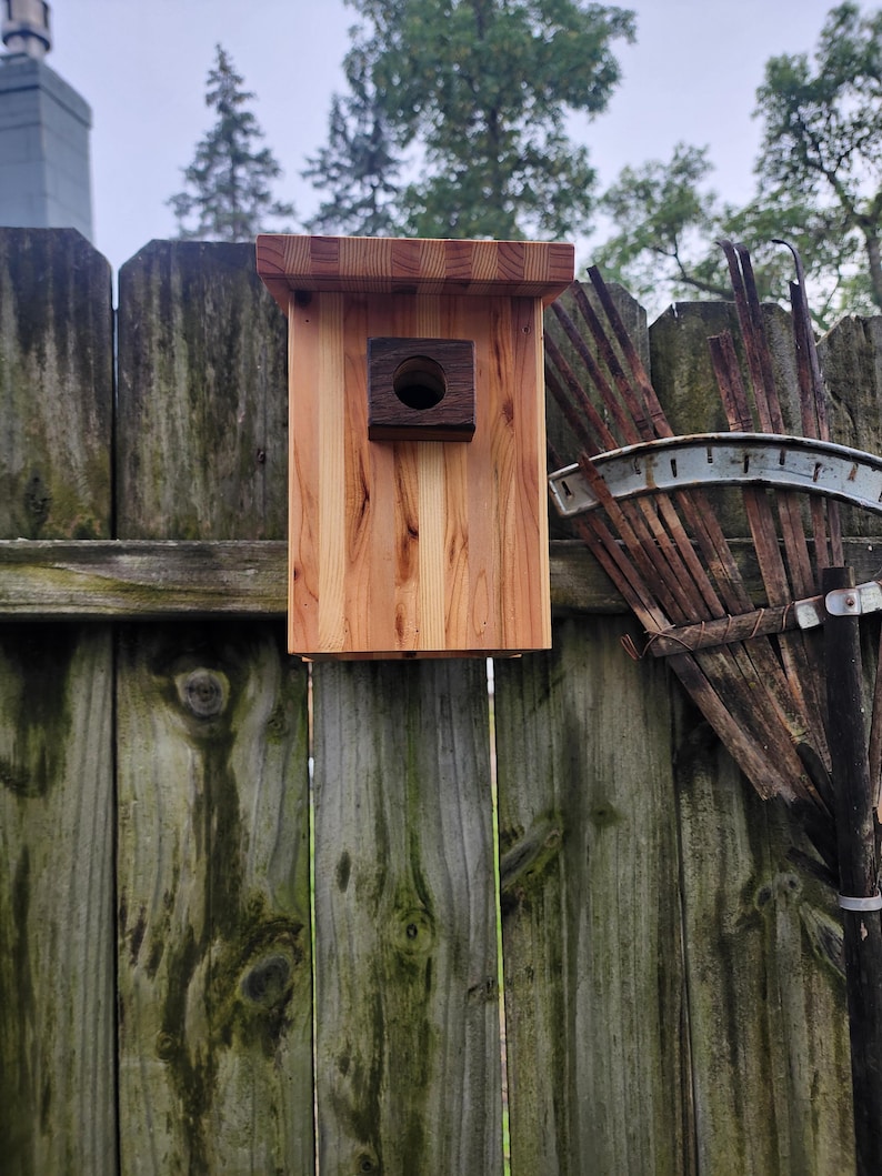 Unique Handmade Cedar Bird House White Oak Predator Guard Bird Box ...