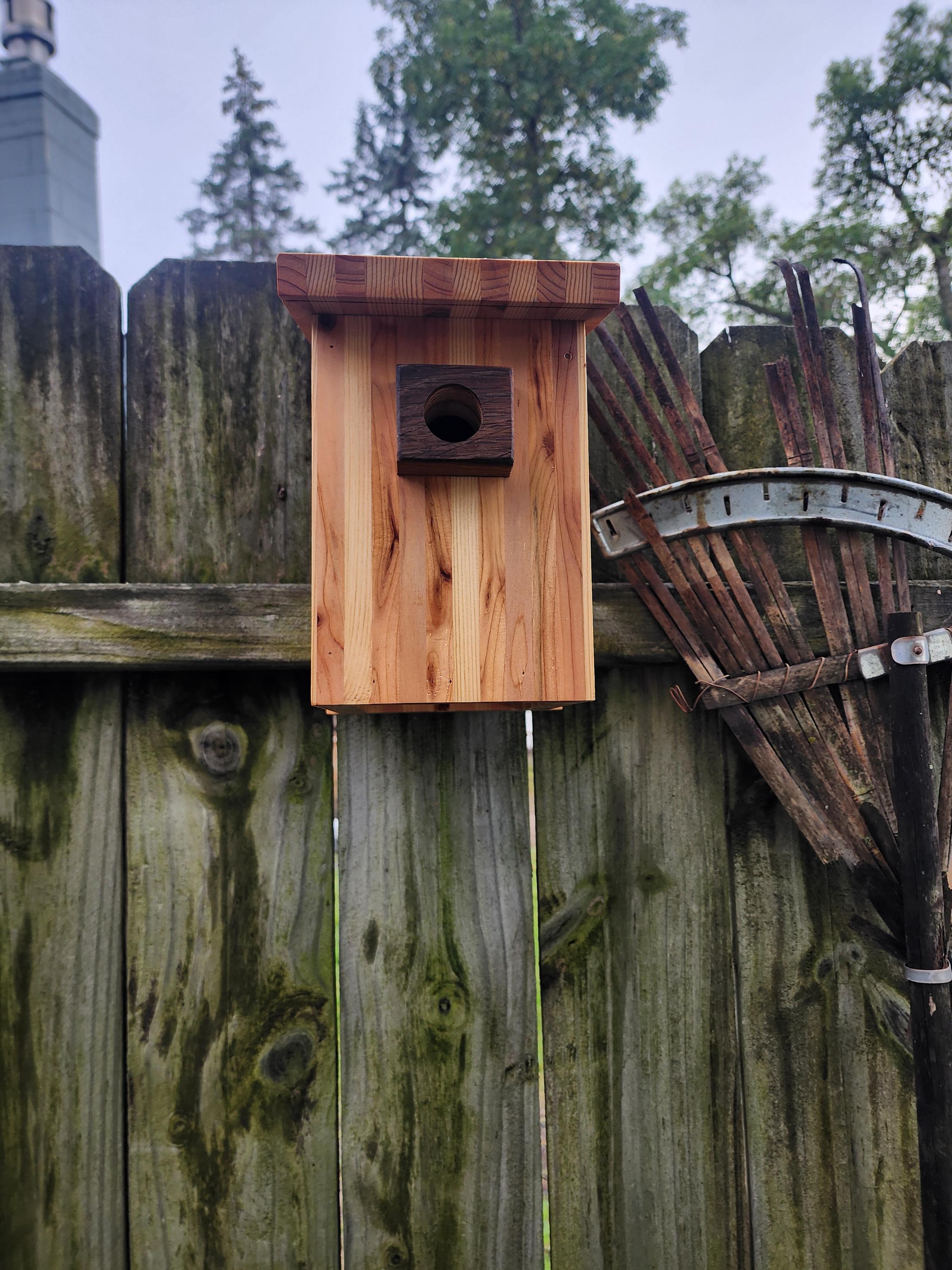 Unique Handmade Cedar Bird House White Oak Predator Guard Bird Box ...
