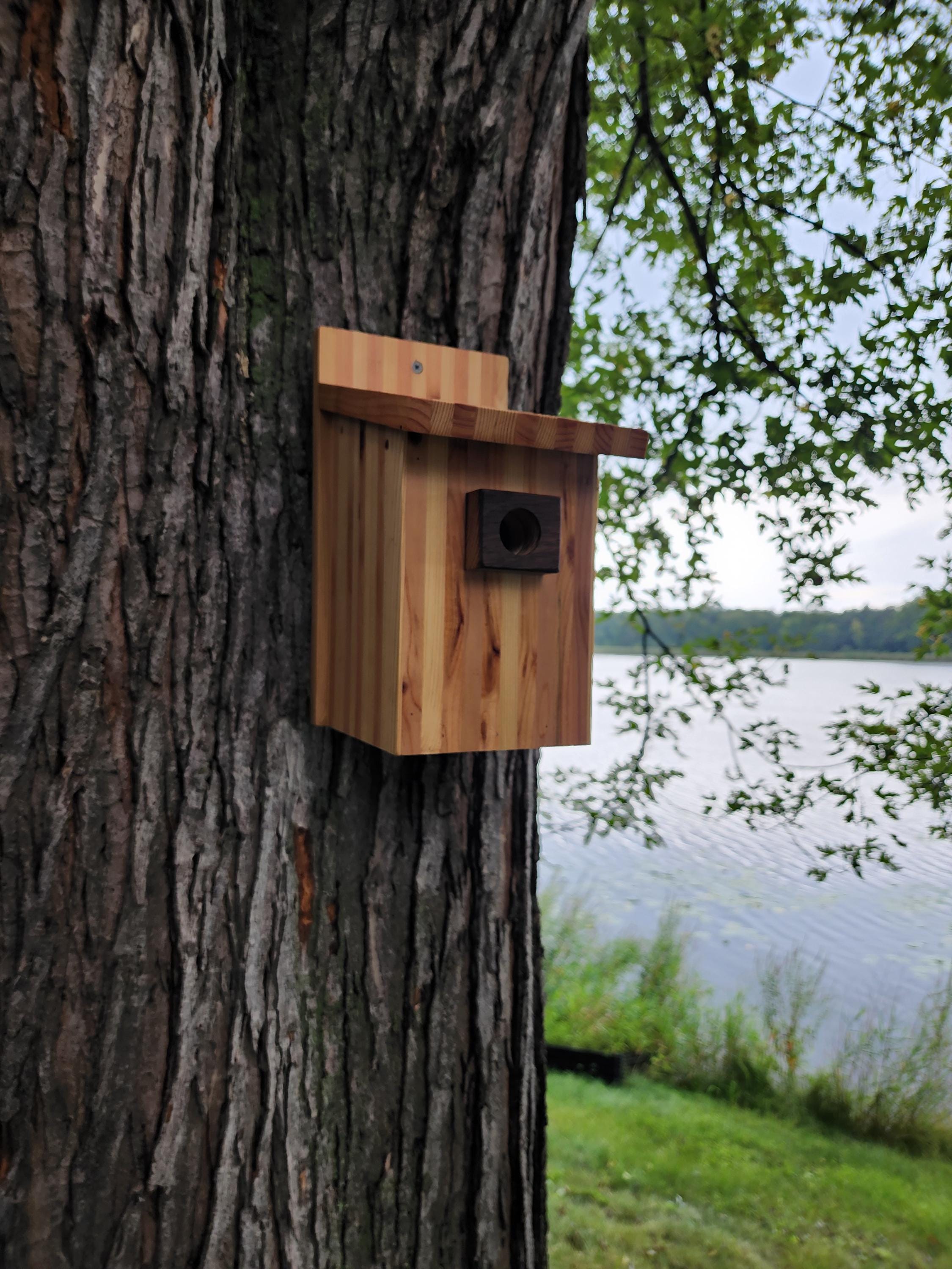 Unique Handmade Cedar Bird House White Oak Predator Guard Bird Box ...