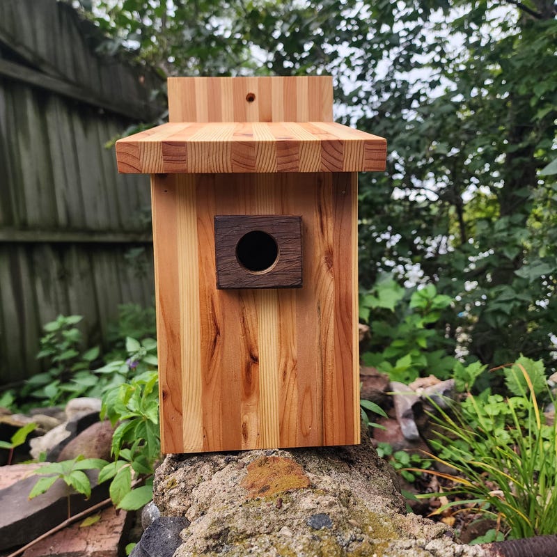 Chickadee Bird House - Etsy