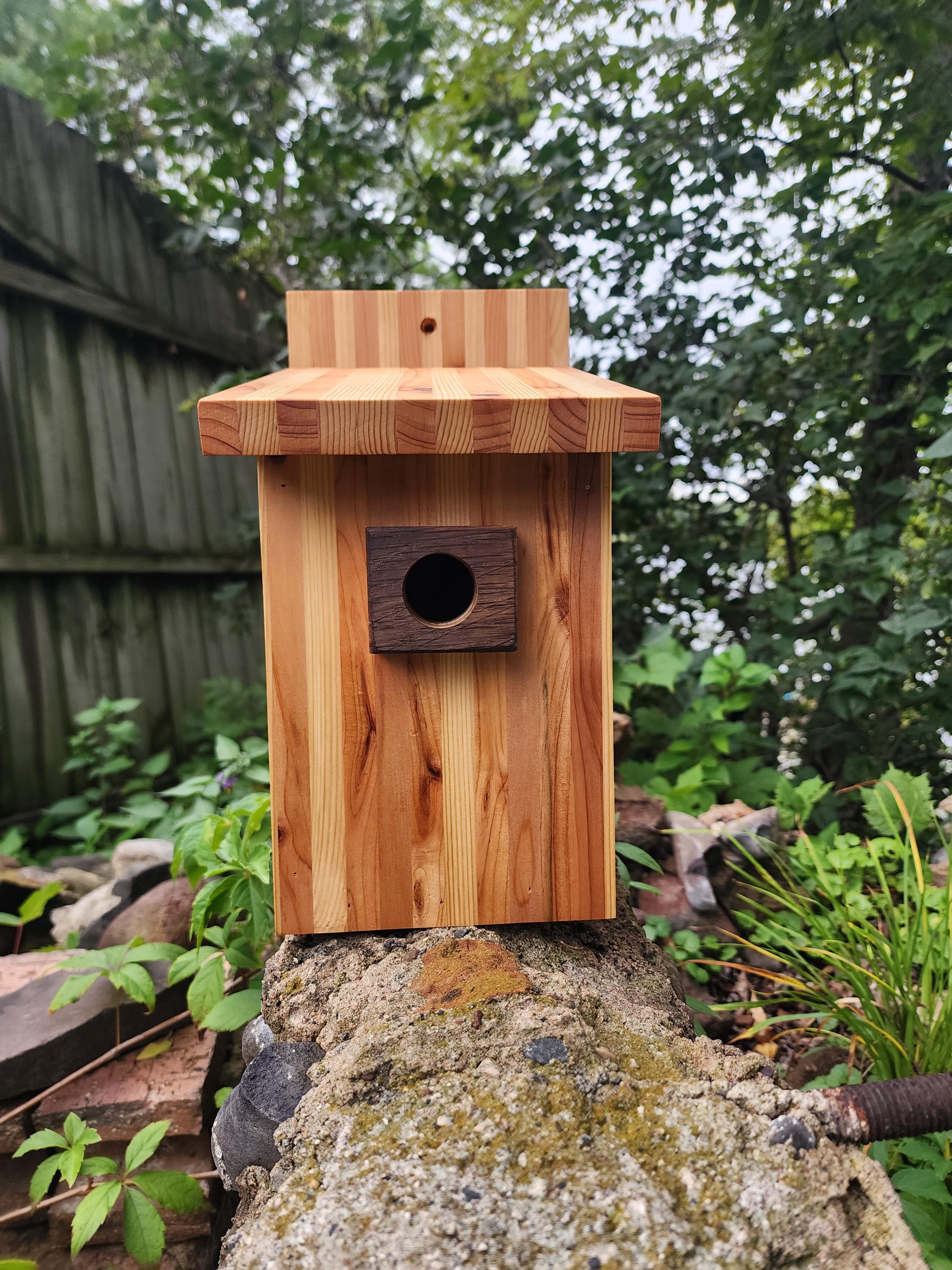 Unique Handmade Cedar Bird House White Oak Predator Guard Bird Box ...