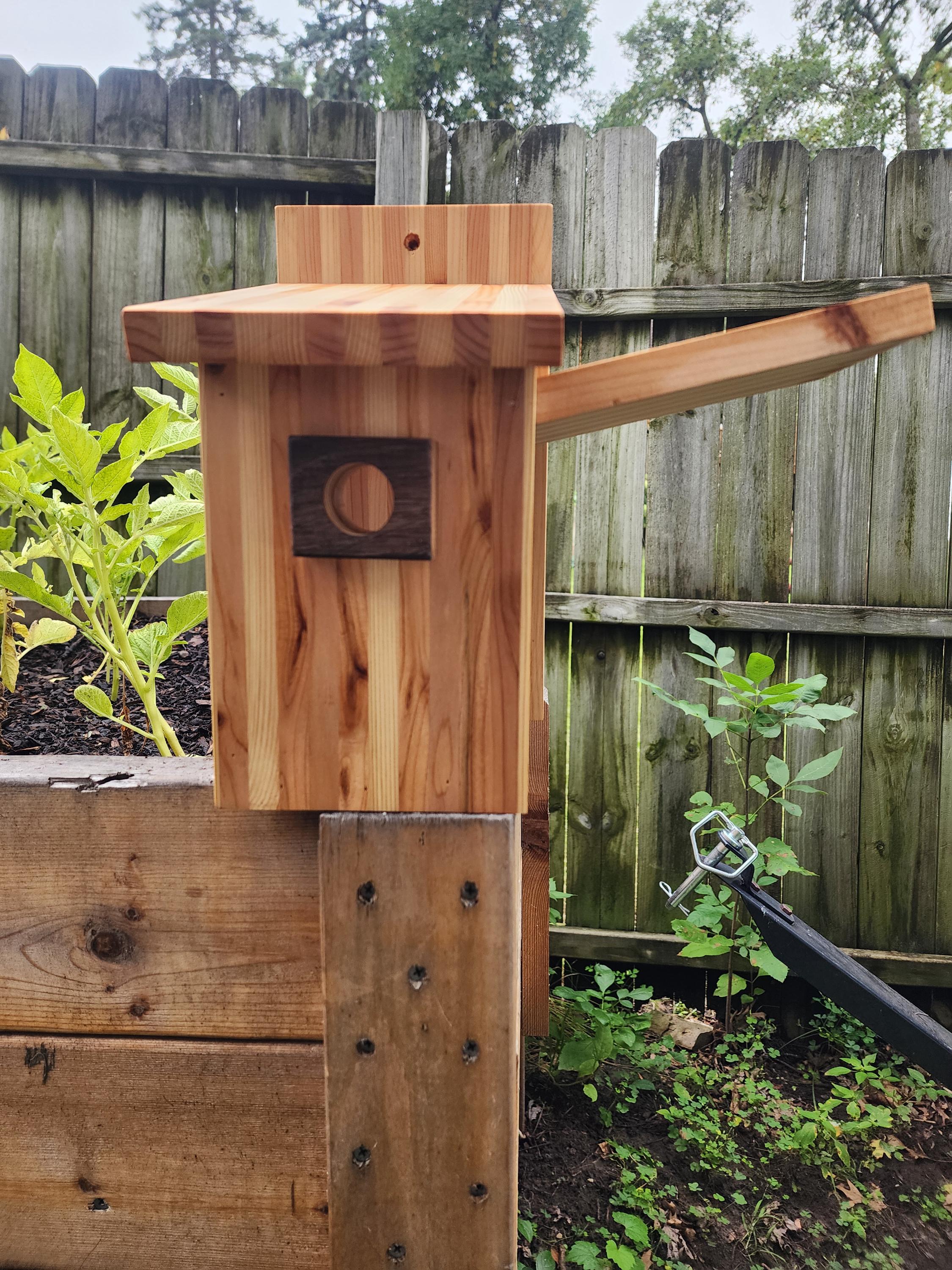 Unique Handmade Cedar Bird House White Oak Predator Guard Bird Box ...