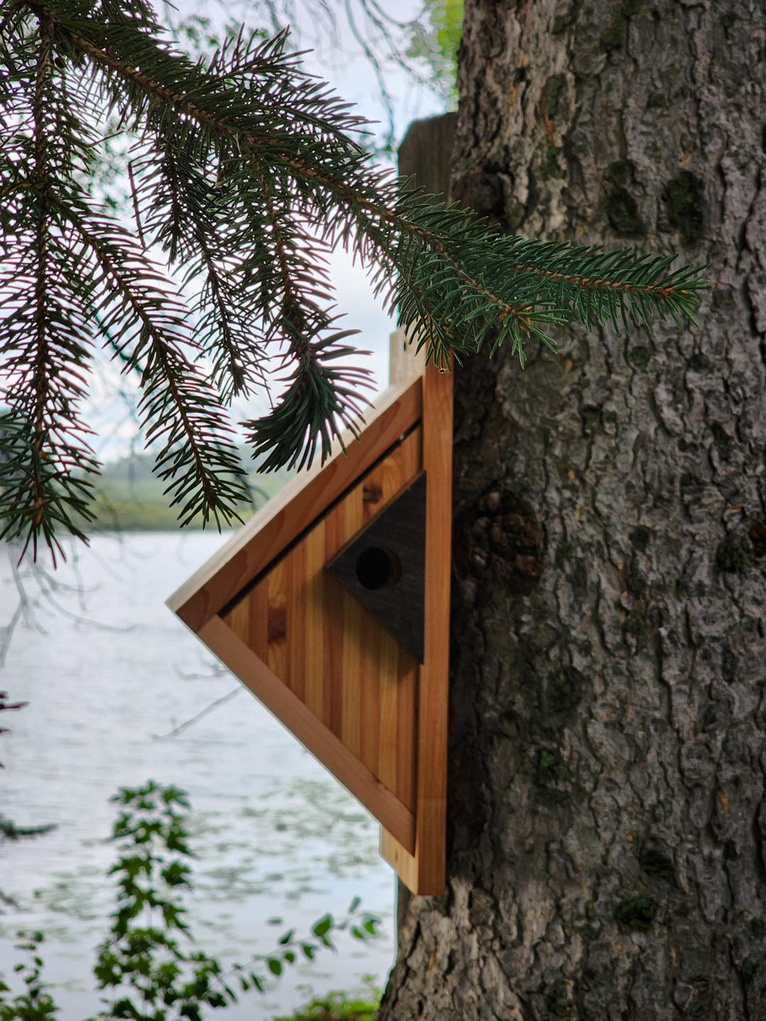 Handmade Cedar Birdhouse: White Oak Predator Guard, Wren Chickadee ...