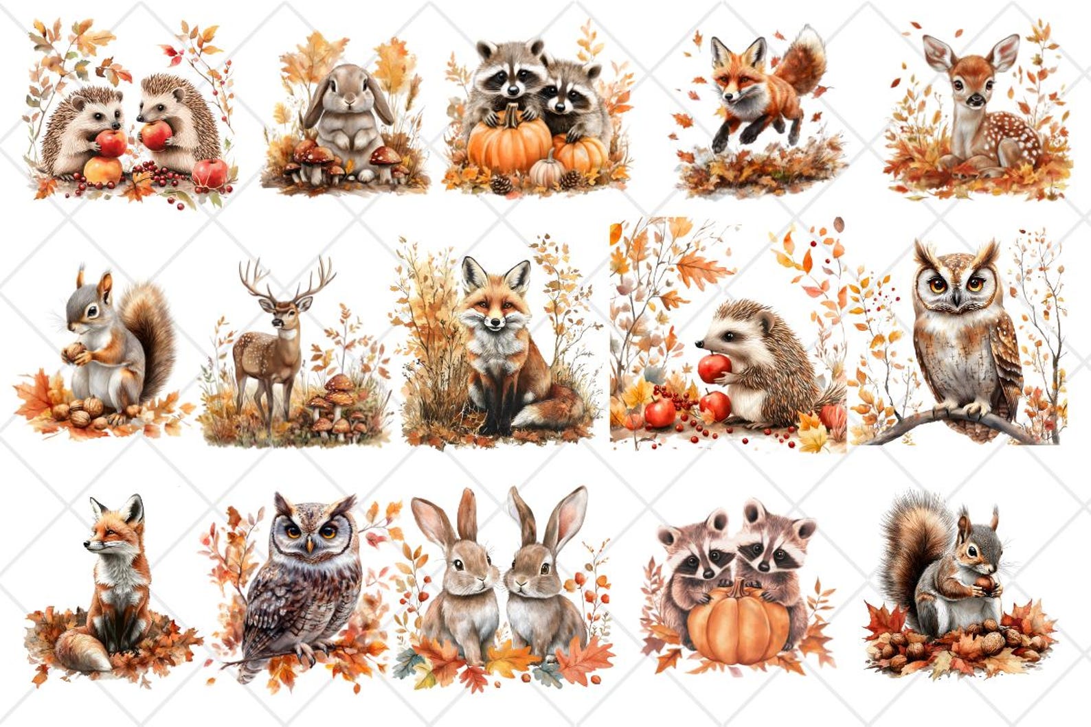 Autumn Woodland Animals Clipart Set Instant Download Sublimation Design ...