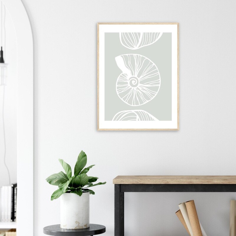 Sea Shell Wall Art - Etsy