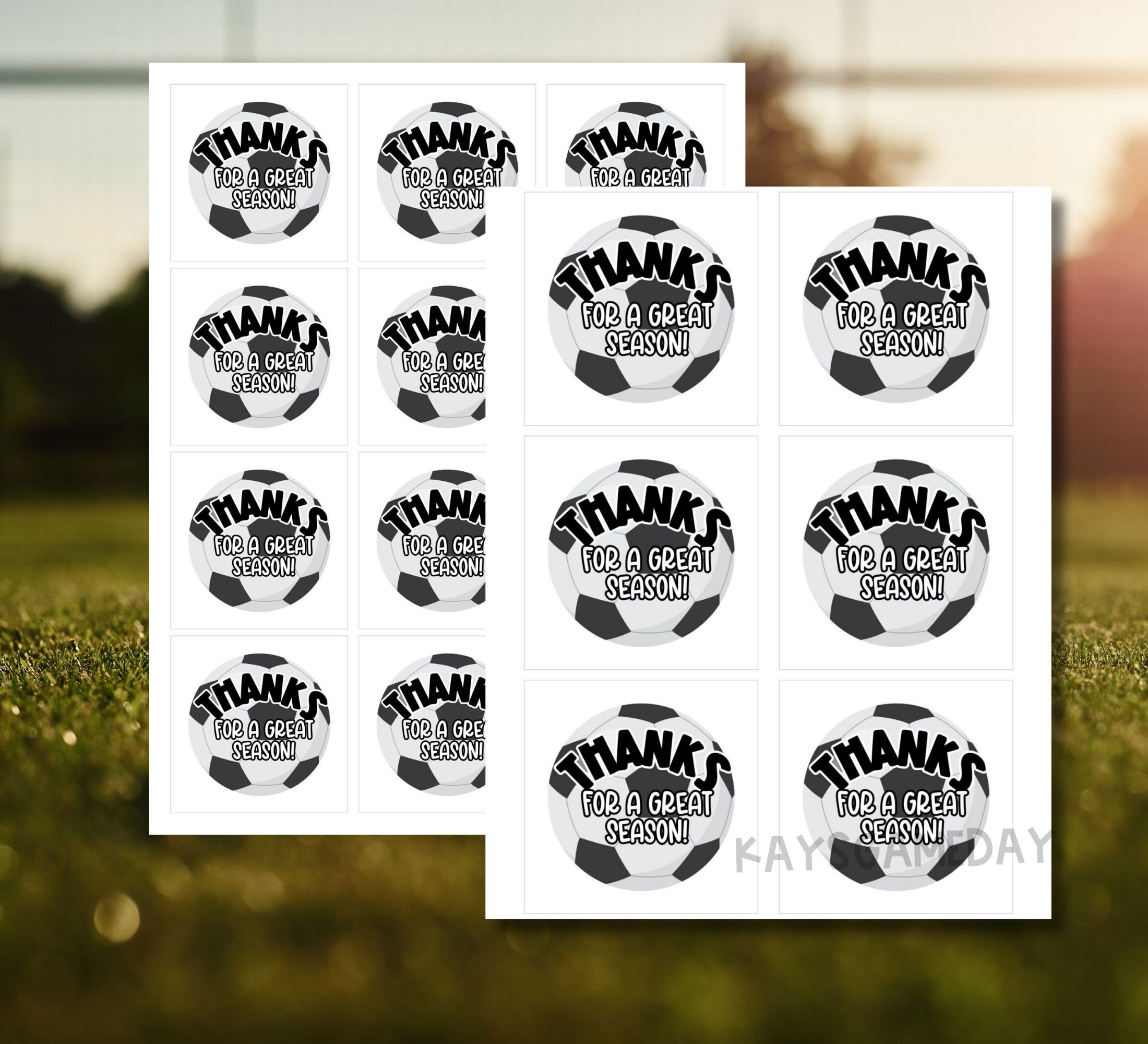Printable End of Season Soccer Tags | Thanks for a Great Season! Soccer ...