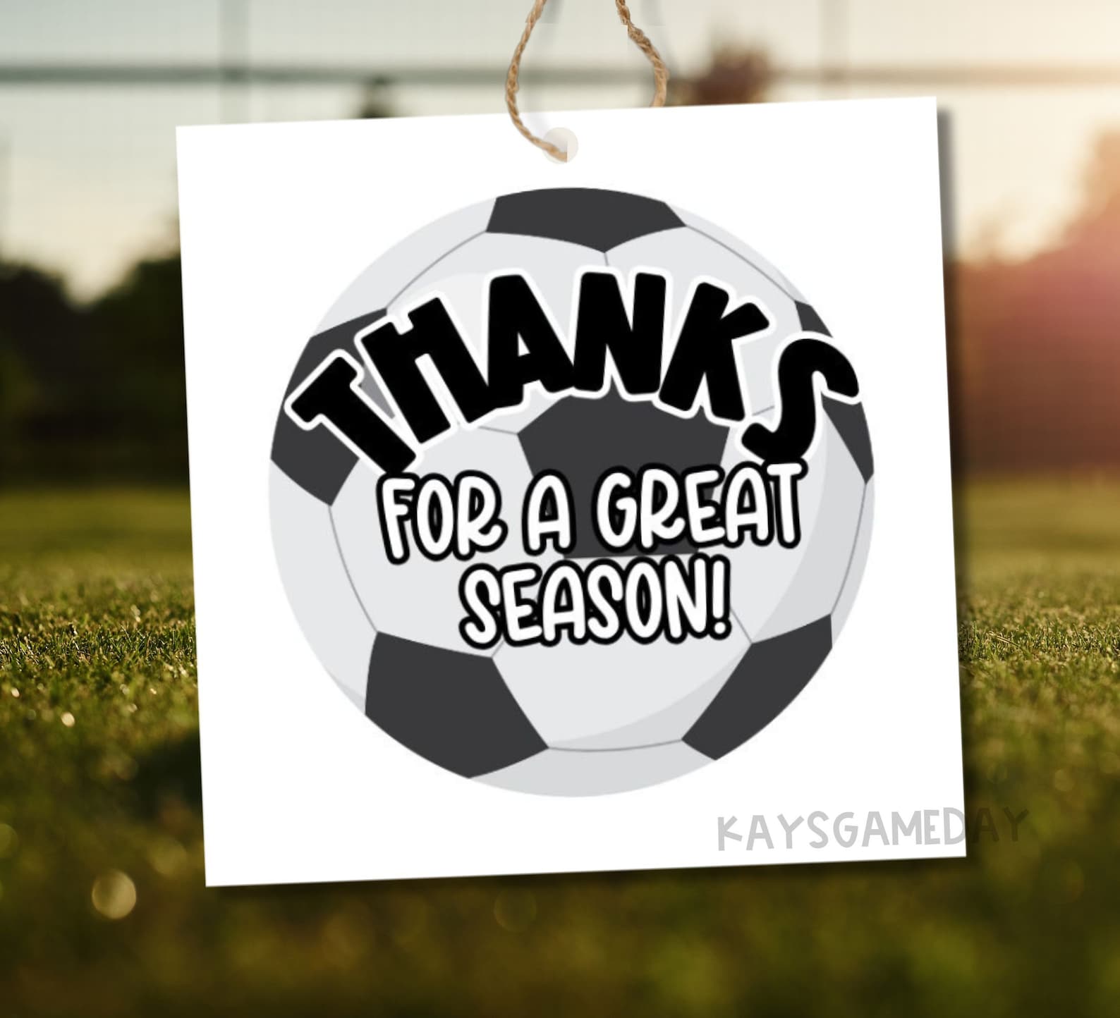 Printable End of Season Soccer Tags | Thanks for a Great Season! Soccer ...