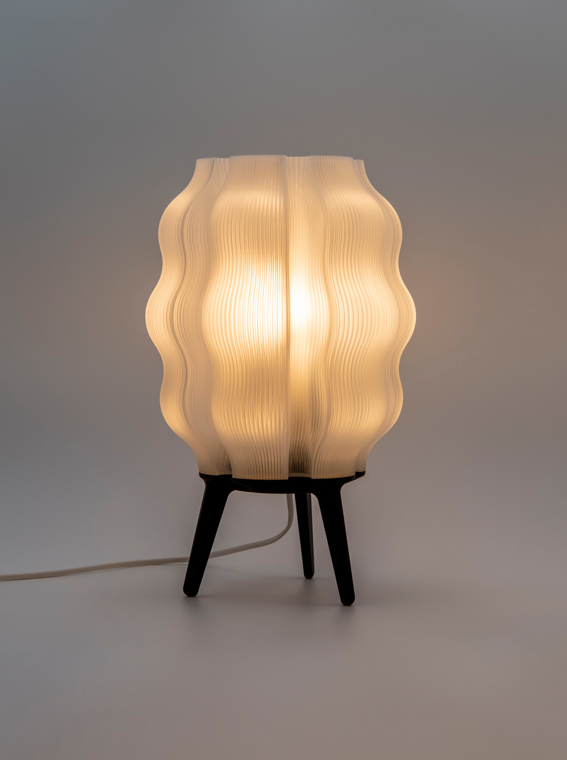 HIKARIBANA LAMP Crystal Frost Perfect Gift Idea PRISMA Lab Unique ...
