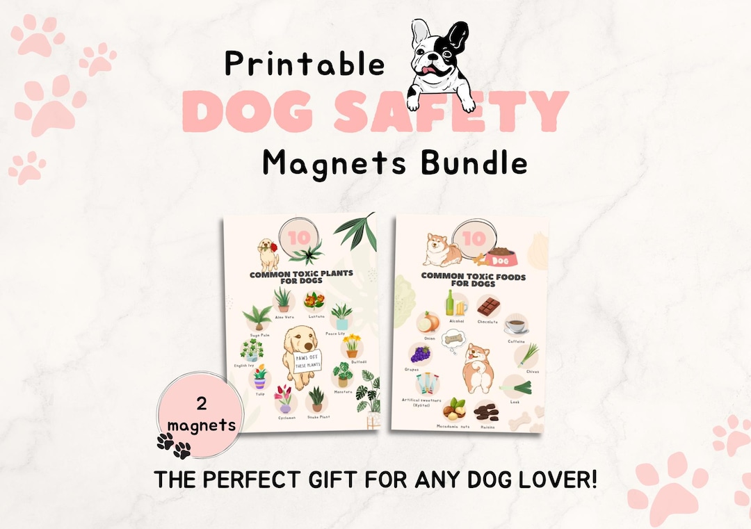 Dog Safety Magnets Bundle - Toxic Plants and Foods Guides, Colorful ...