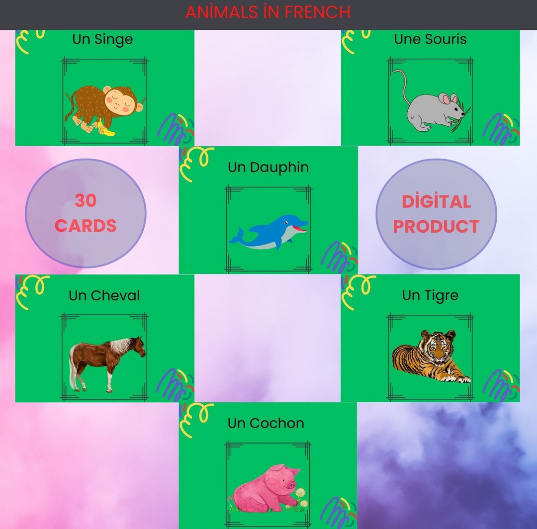 Animal Flash Cards 30 Printable Cards Animals in French Flashcards ...