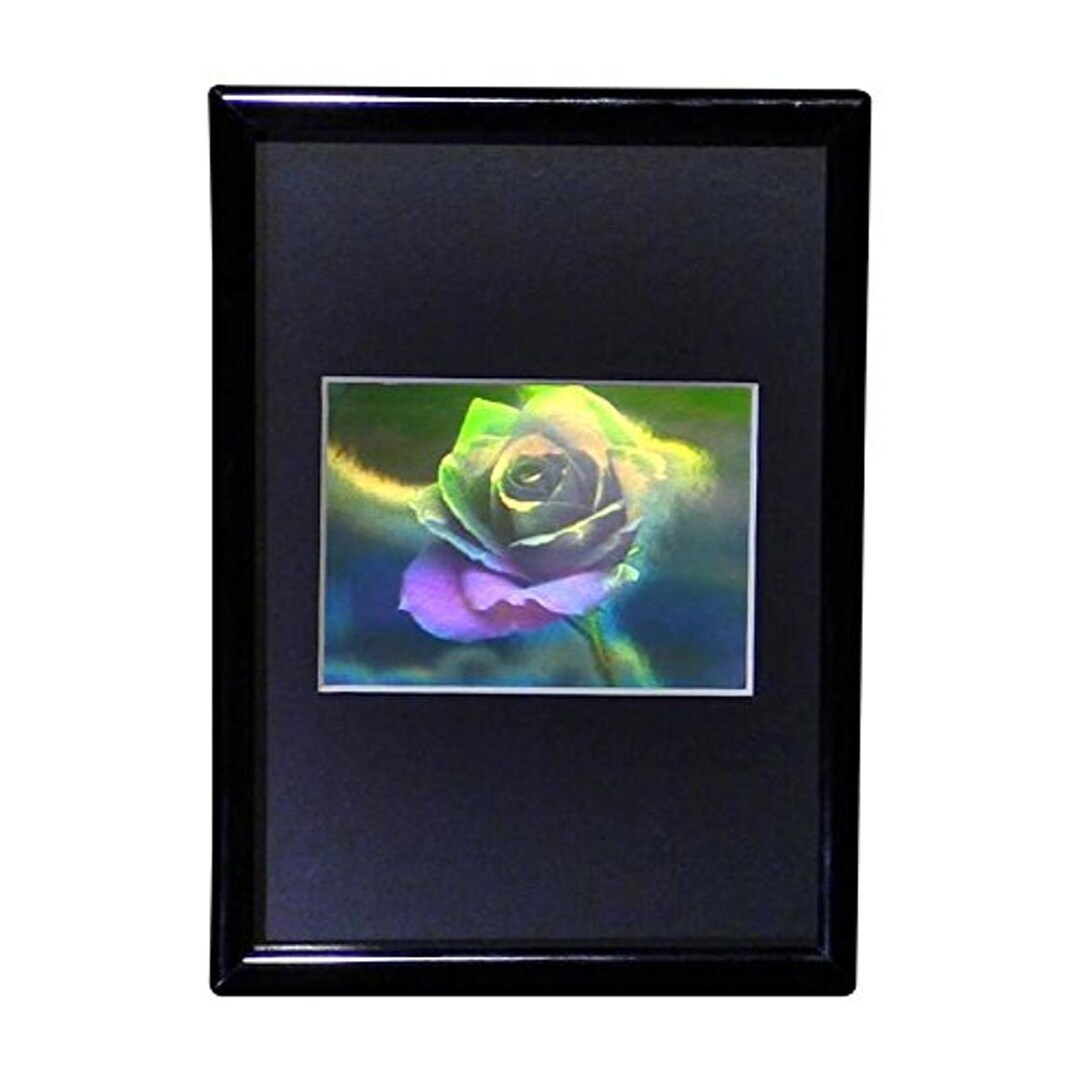 Blooming Rose (large) Hologram Picture (FRAMED), Collectible Embossed ...