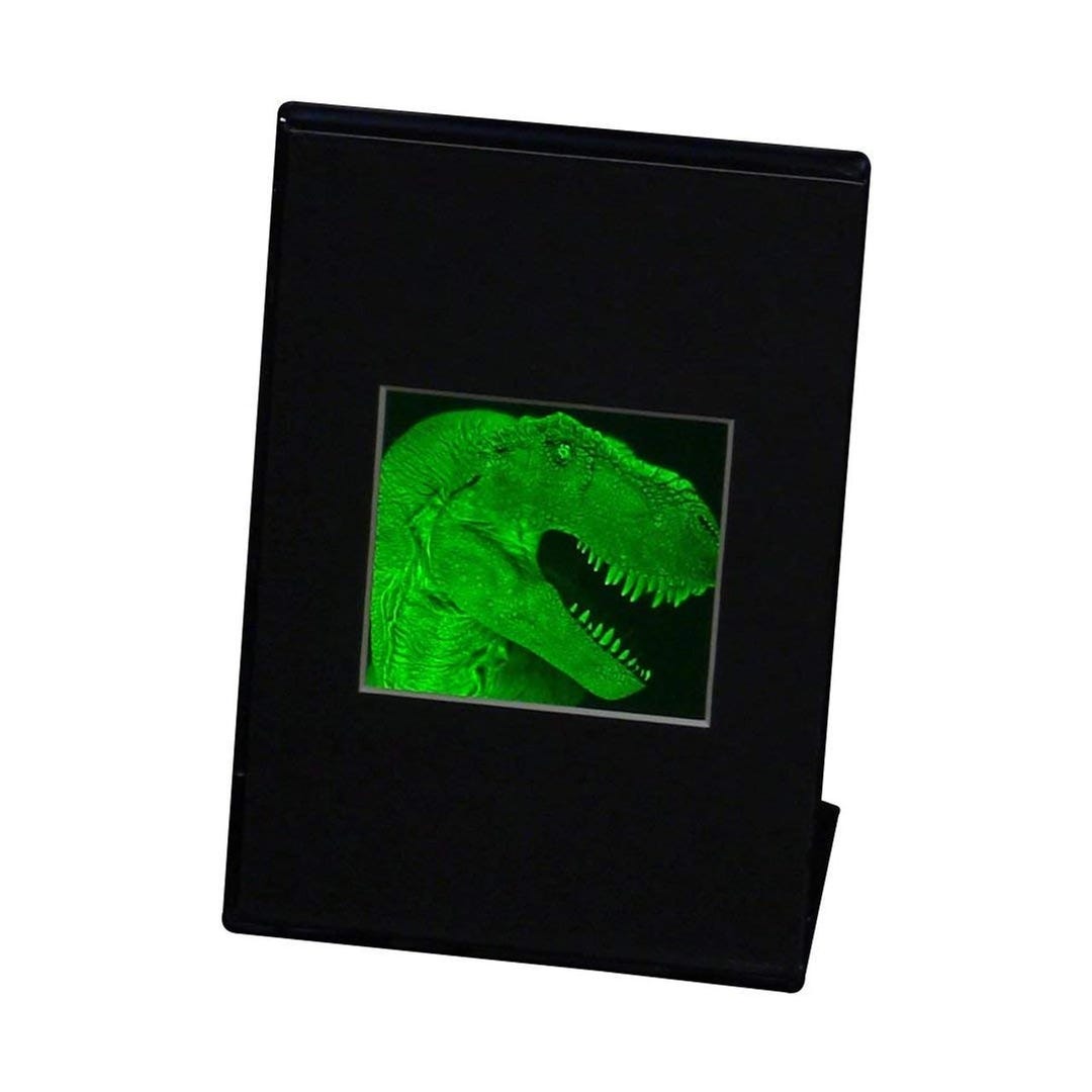 T-rex Head 3D Hologram – Collectible Desk Stand, Photopolymer Art - Etsy