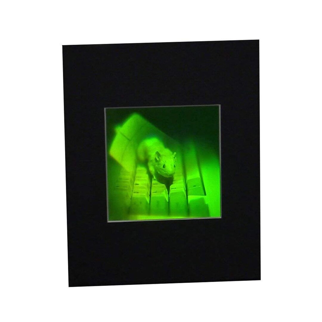 3D Mouse Multi-channel Hologram Picture (MATTED), Collectible ...
