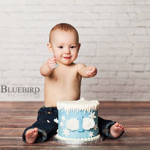 TWO in ONE Backdrop 6ft X 12ft Vinyl Photography Backdrop - Etsy