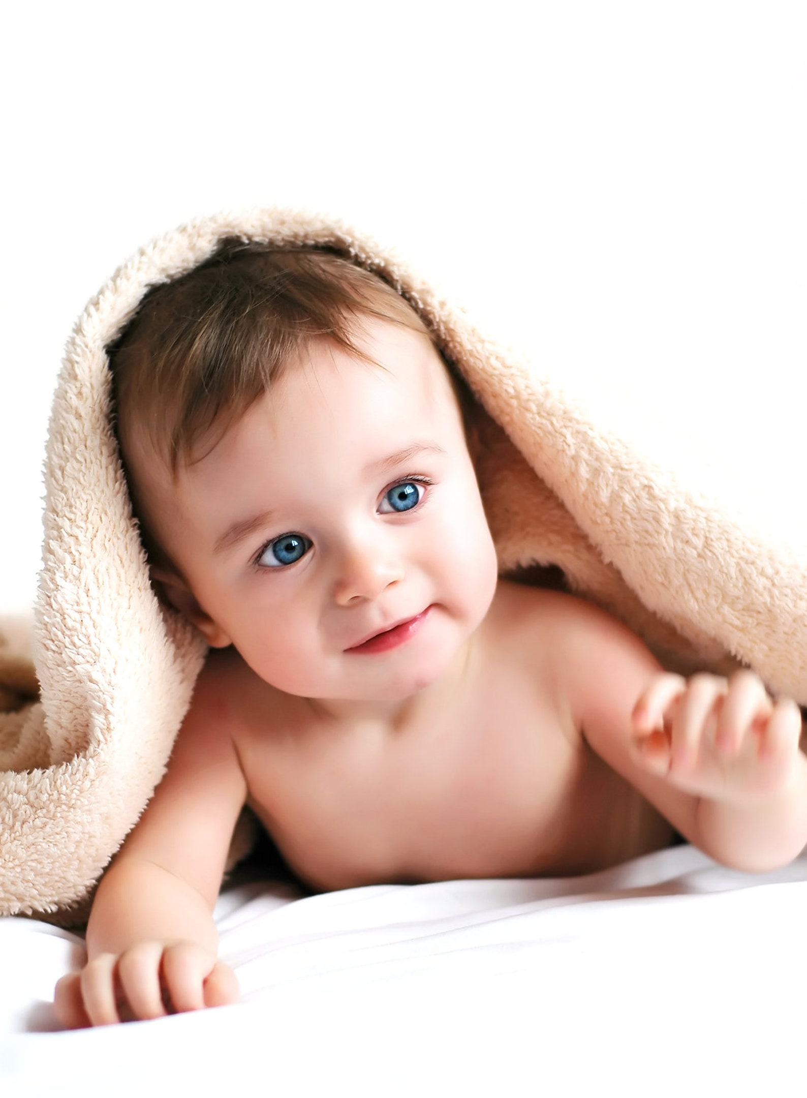 White Backdrop 2x4 Solid White Backdrop Photo Backdrop | Etsy