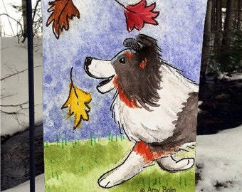 Blue Merle Tri Color Sable Shelties Shelties Around | Etsy