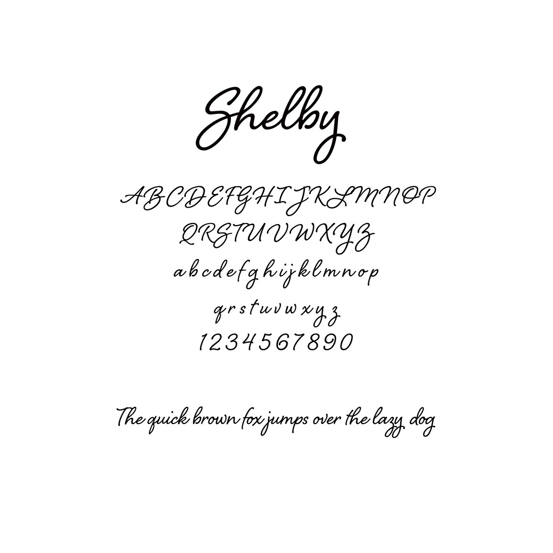 Blue Merle Tri Color Sable Shelties shelties Around | Etsy