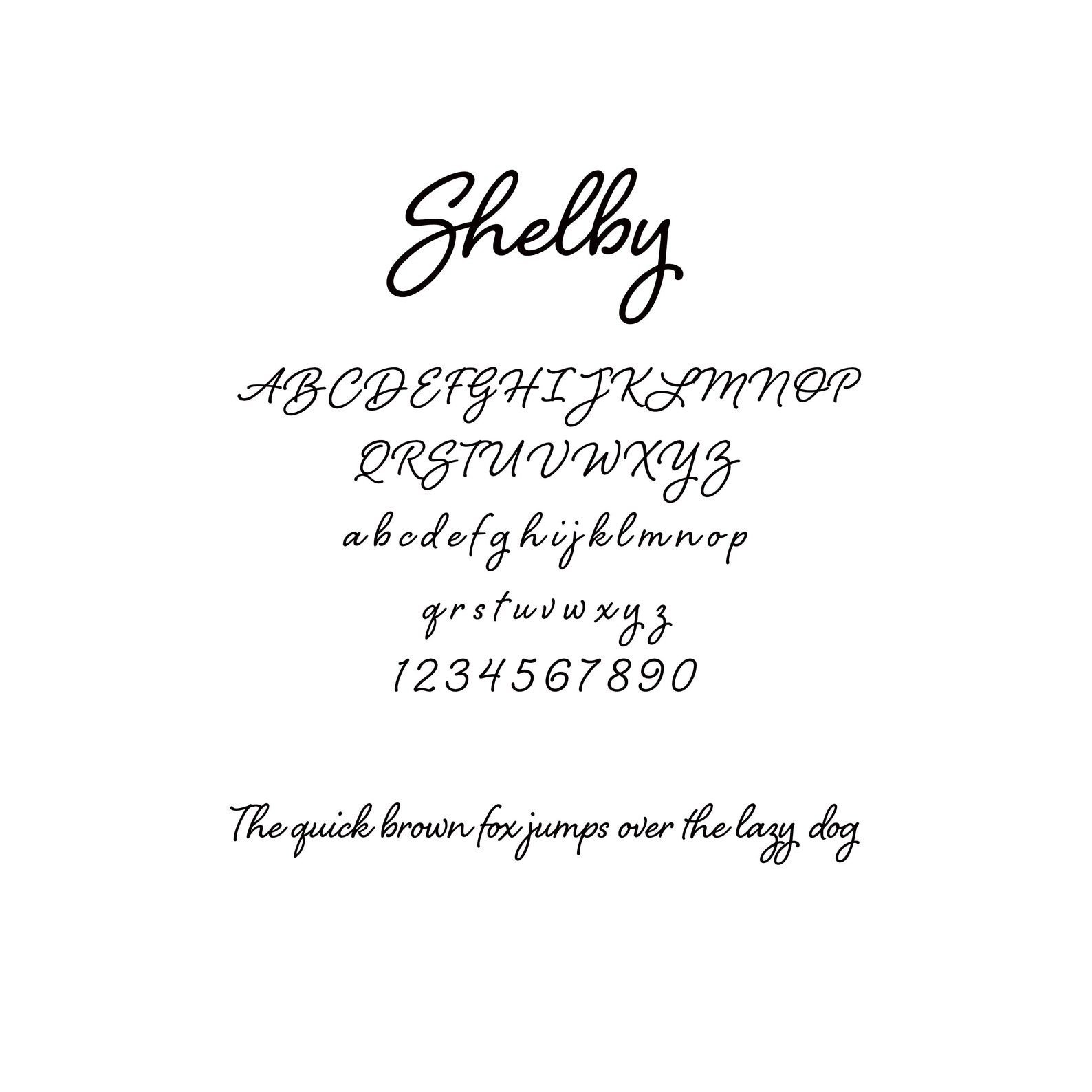 Sable Tri Color Blue Merle Shelties christmas - Etsy