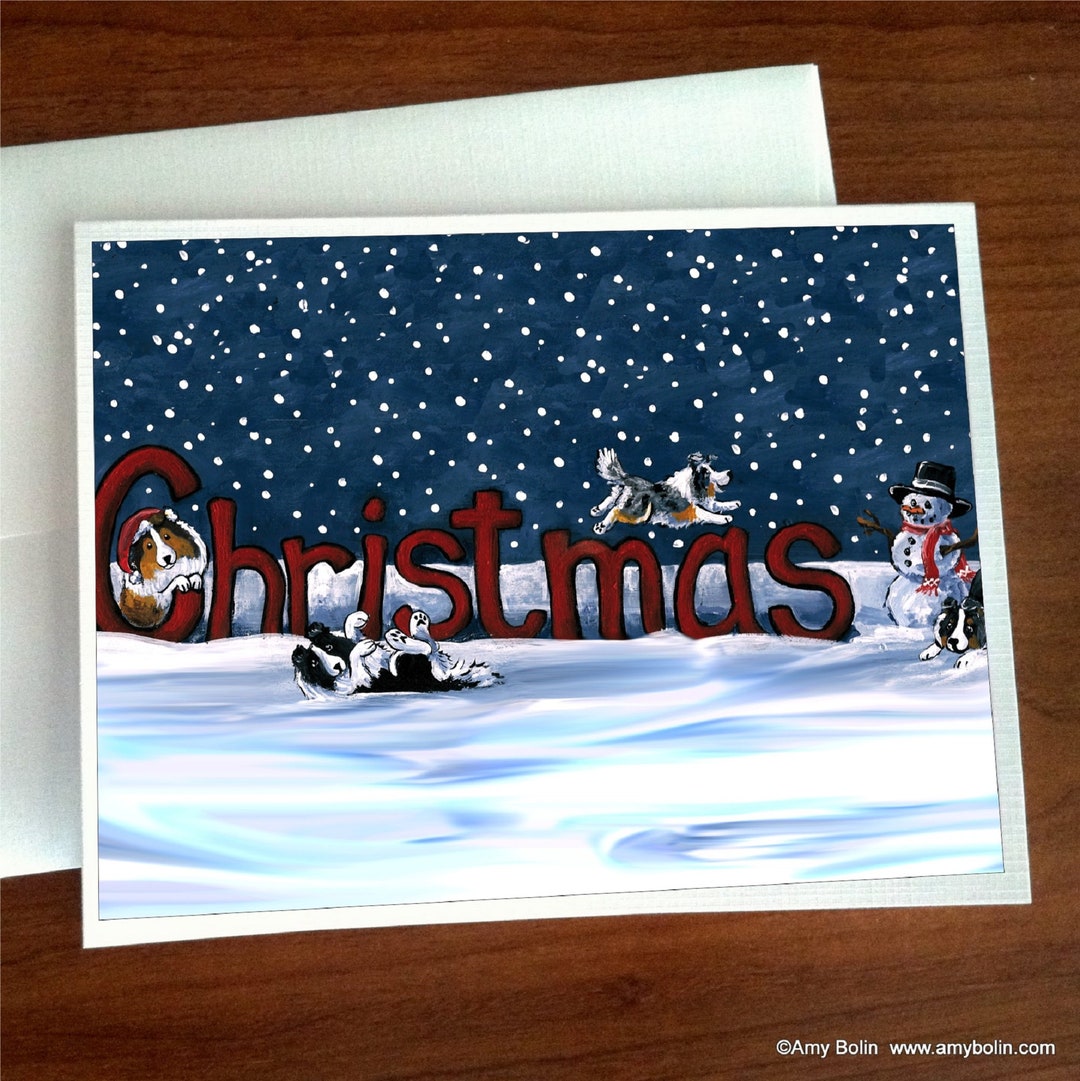 Sable, Tri Color, Blue Merle, Bi Black Shelties "a Christmas ...