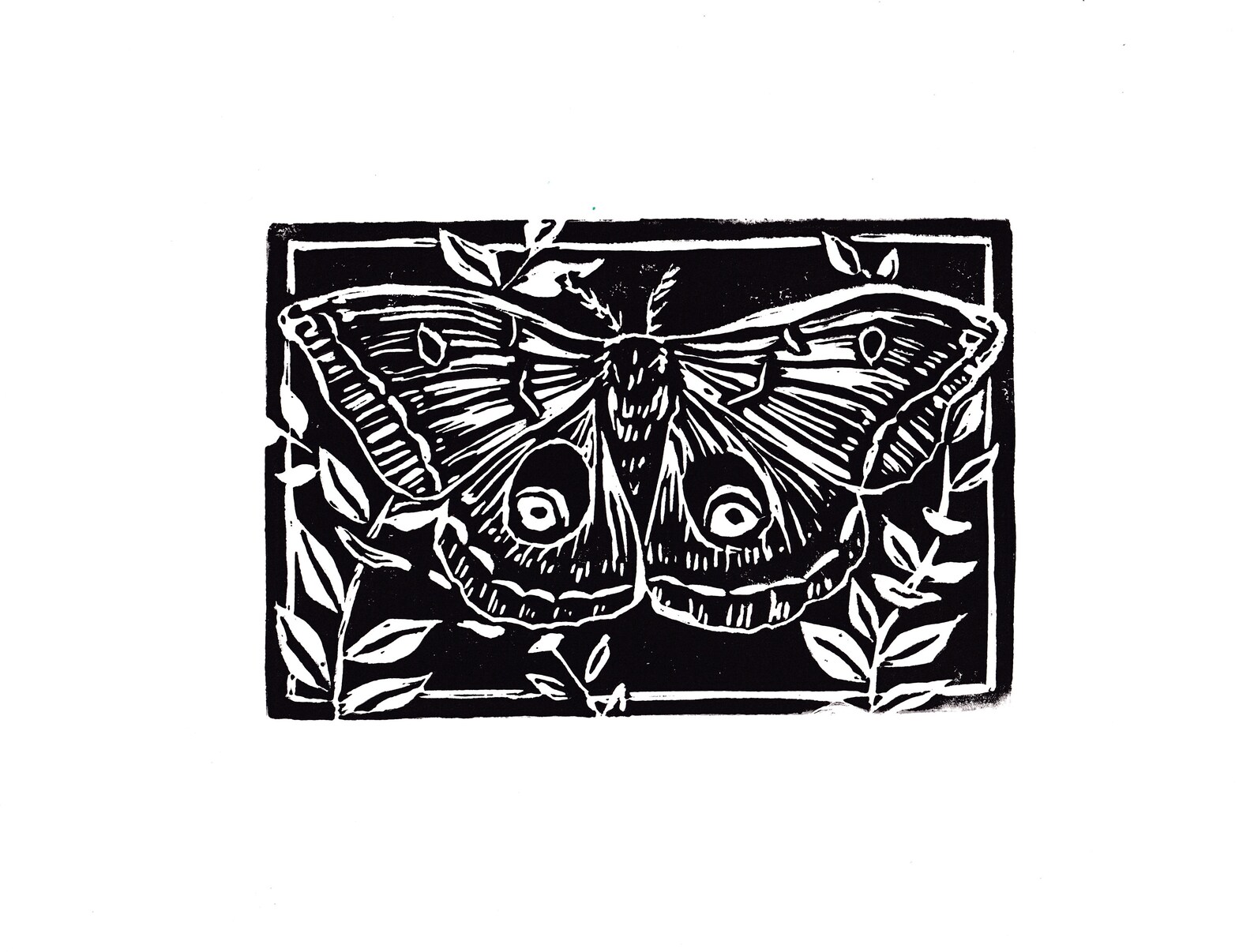 Black Moth Block Print Gift Nature Lover Naturalist Gift Moth Lover ...