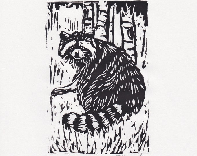 Raccoon With Greek Bowl - Etsy