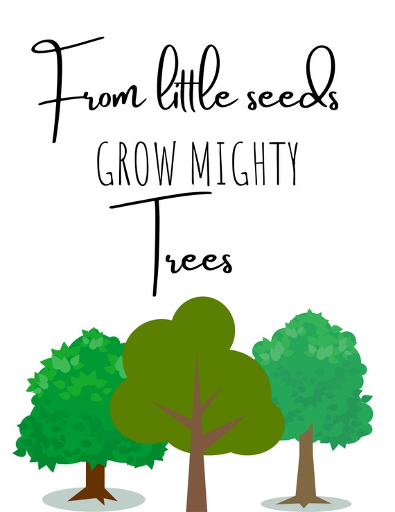 From Little Seeds Grow Mighty Trees Wall Art Nursery Decor - Etsy