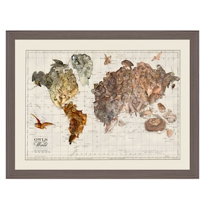 Owl Map of the World Collage Map Art Print, Owl Art - Etsy
