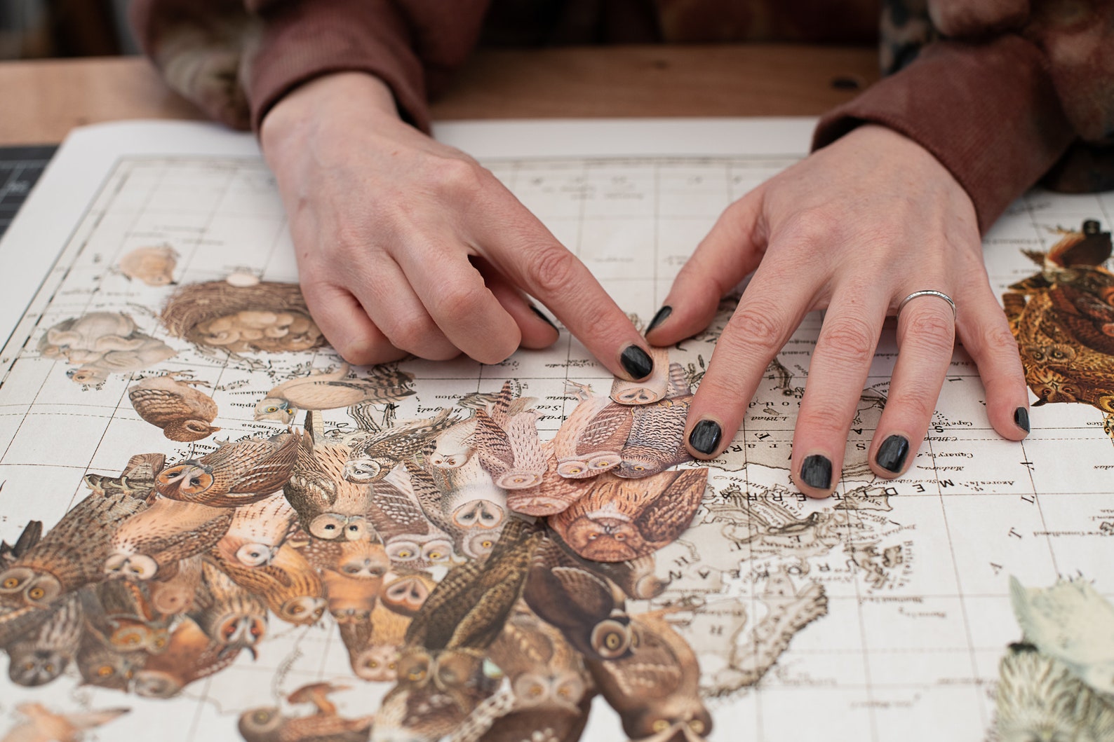 Owl Map of the World Collage Map Art Print Owl Art - Etsy