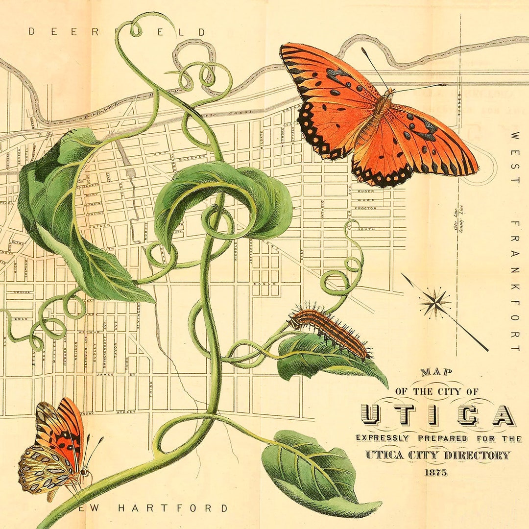 Metamorphosis Map Art Collage Print, 10x10 Collaged Map Art Print - Etsy