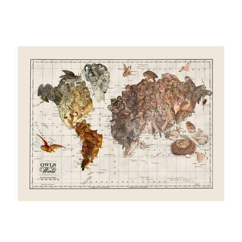 Owl Map of the World Collage Map Art Print Owl Art - Etsy