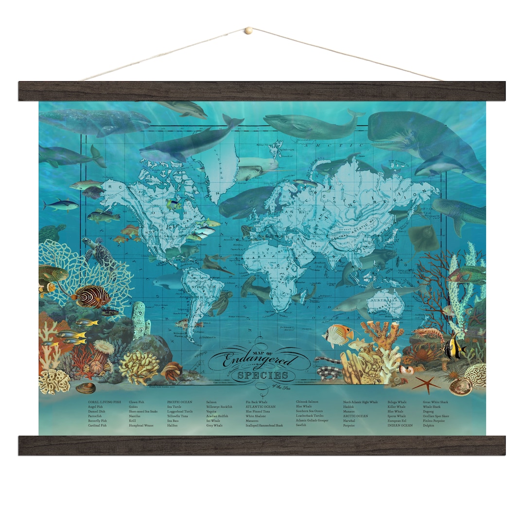 Endangered Ocean Species World Map Art Print. Wendy Gold Collage - Etsy