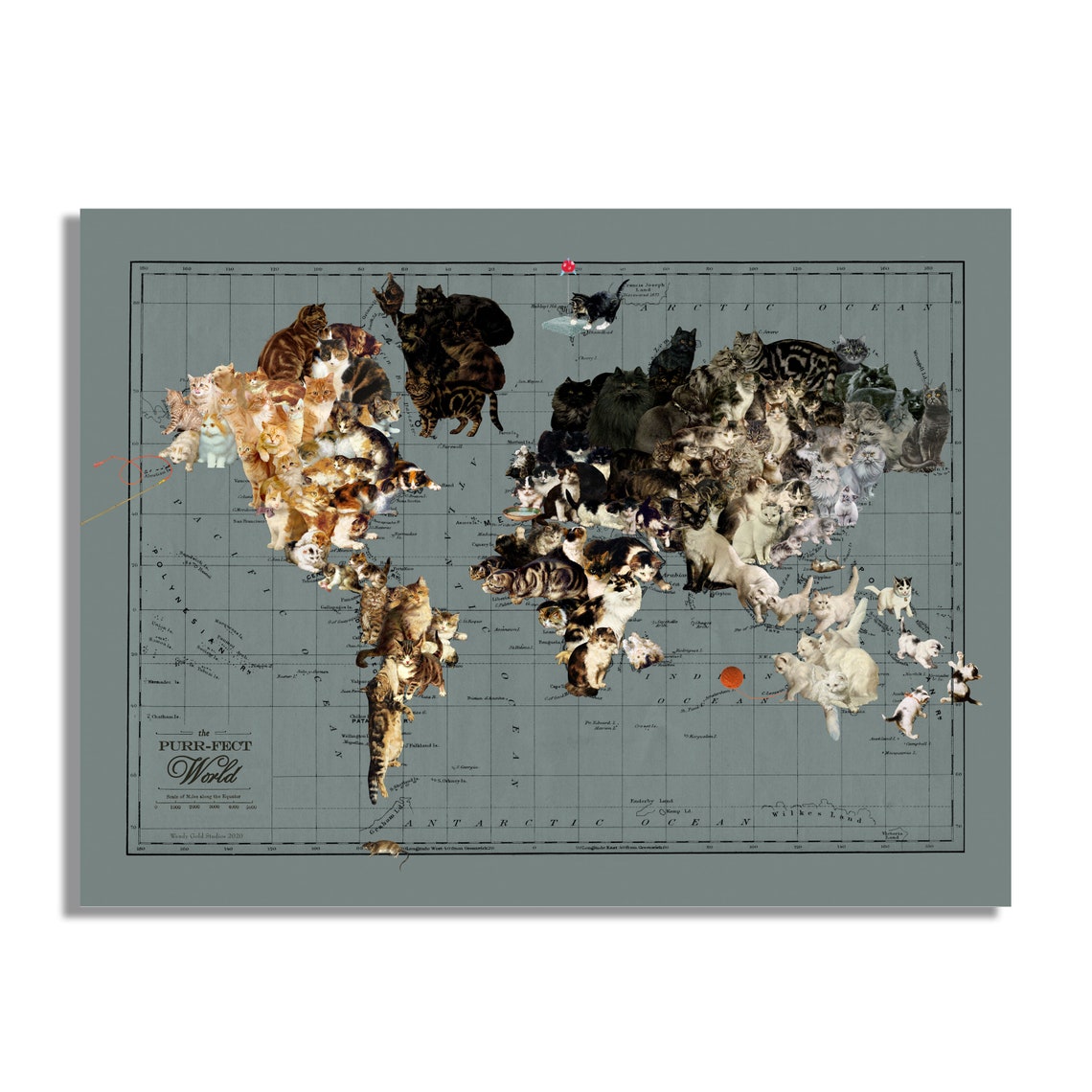 Cat Map of the World Hanging Canvas Print Cat Decor Cat - Etsy