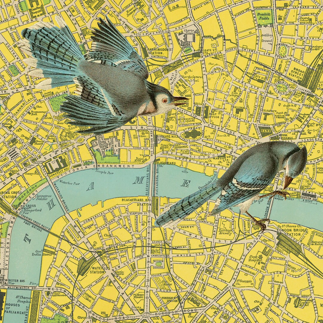London Birds Map Art Print: Thames Collage (10x10) - Etsy