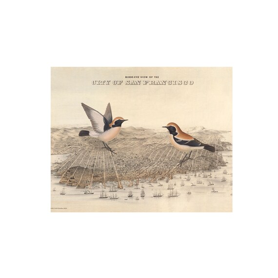 San Francisco Birds Map Art Collage Print 10x8 Collaged Map - Etsy