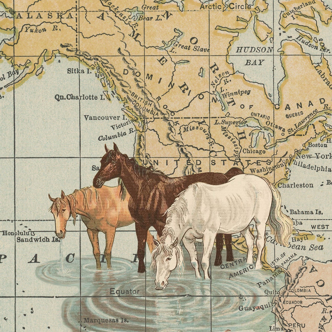 The World is Their Trough Map Art Collage Print, 10x10 Collaged Map Art ...