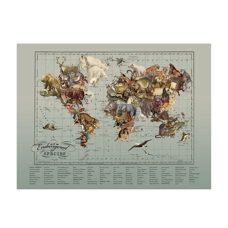 Endangered Species World Map Art: Wendy Gold Vintage Style Animal ...