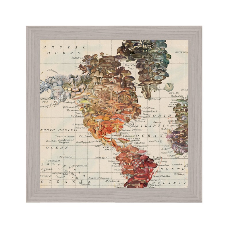 Mushroom World Mycologist Map 10x10 Collaged Map Art Print - Etsy