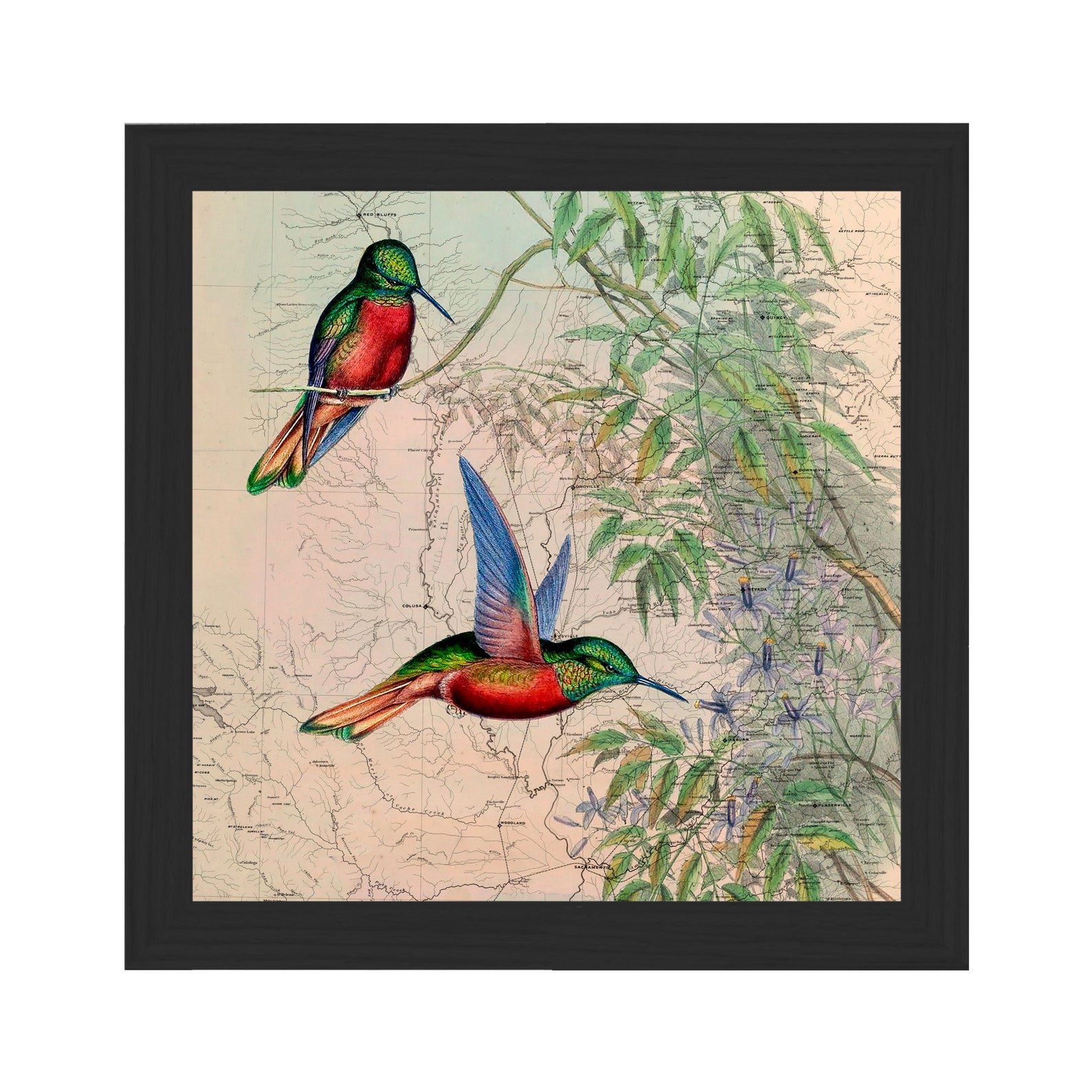 Hummingbird Map Art Collage Print 10x10 Collaged Map Art - Etsy