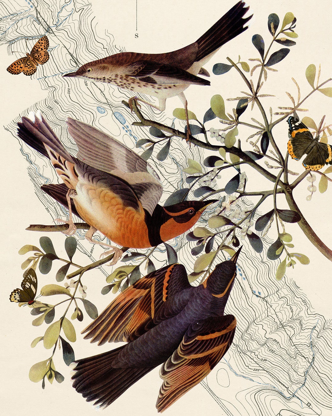 Birds and Butterflies Map Art Collage Print, 8x10 Collaged Map Art ...