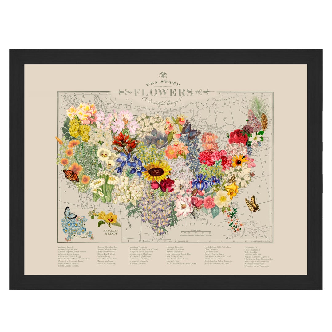 USA State Flowers Map Art Print: Vintage Floral Wall Decor - Etsy