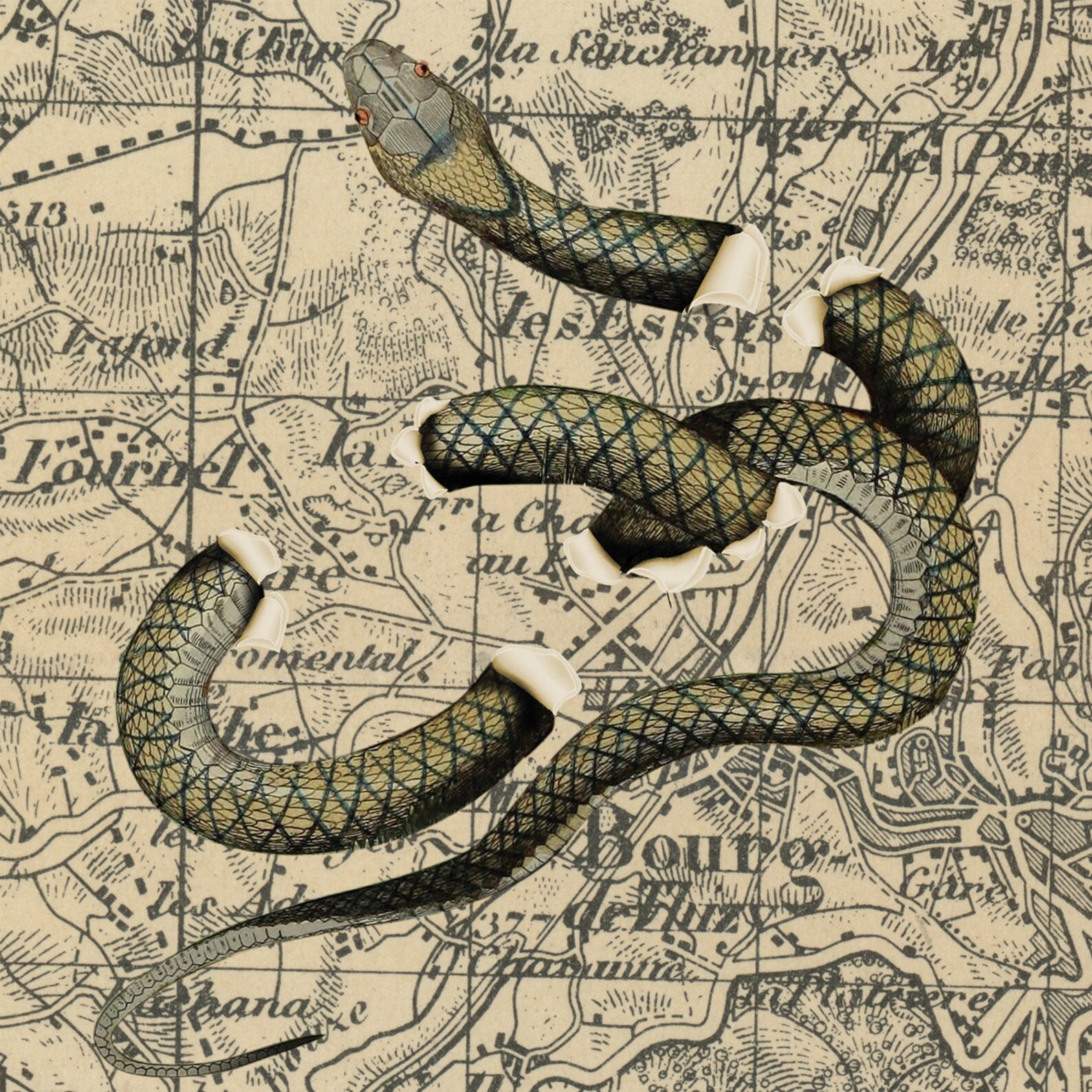 Snake Map Art Collage Print Collaged Map Art Print | Etsy