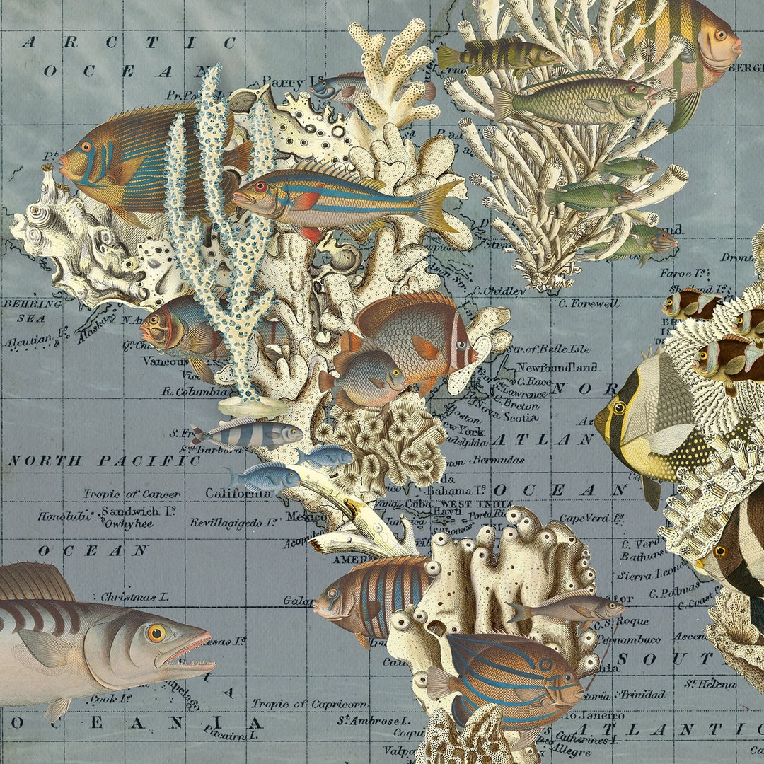 Coral Reef Map Art Collage Print, 10x10 Collaged Map Art Print - Etsy