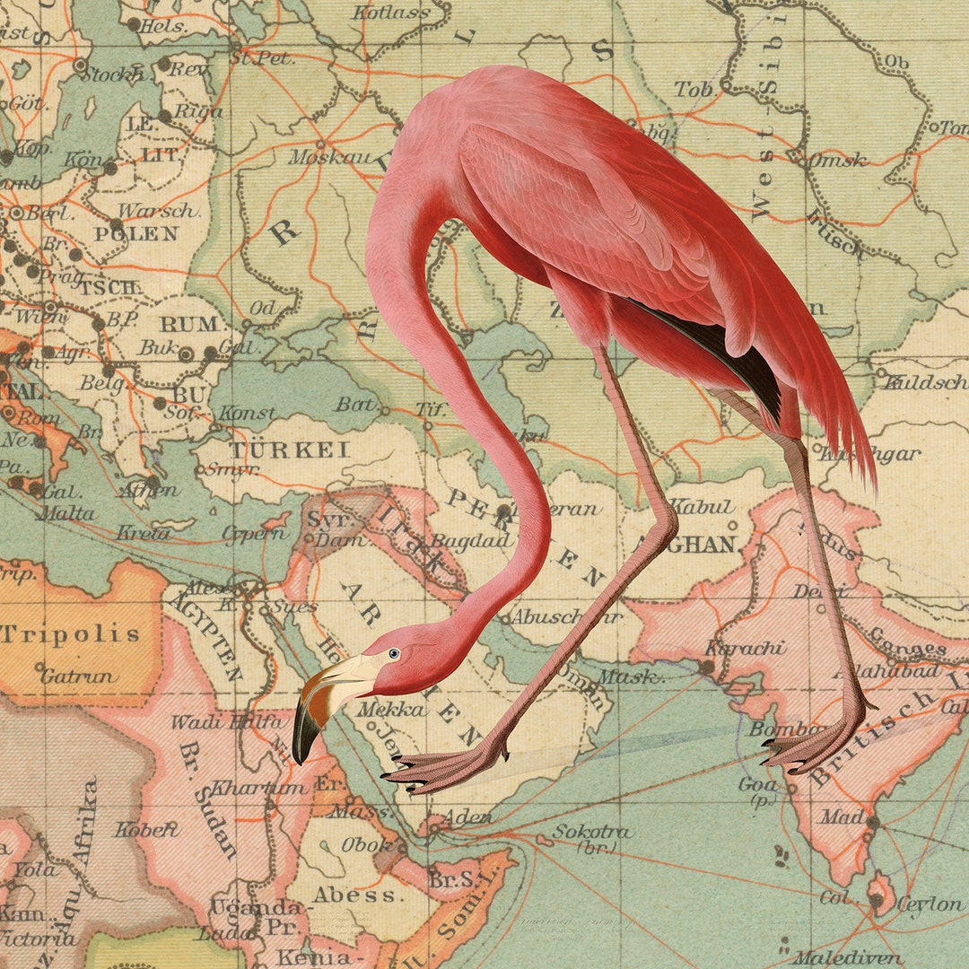 Pink Flamingo Map Art Collage Print, 10x10 Collaged Map Art Print - Etsy