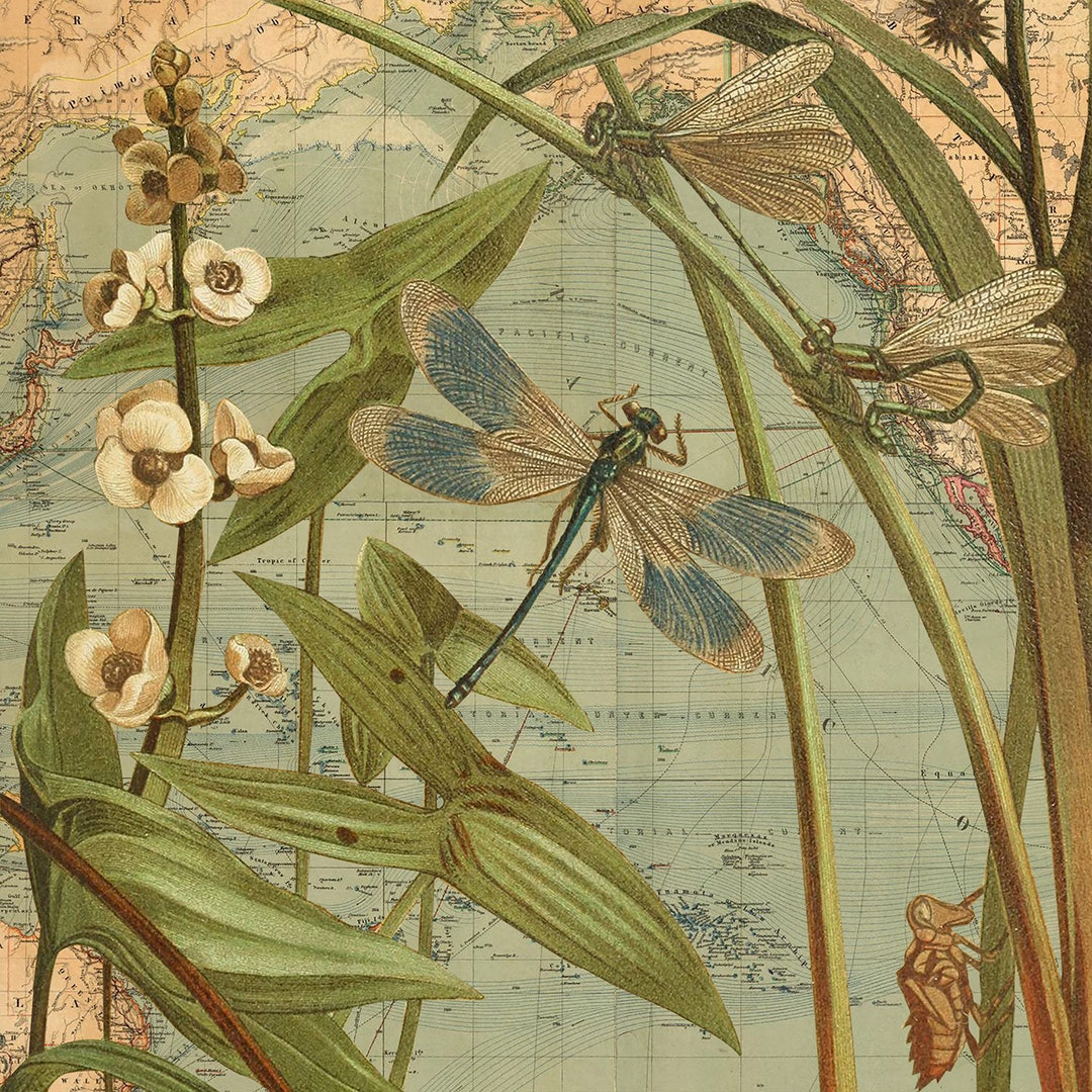 Dragonfly Map Art Collage Print, 10x10 Collaged Map Art Print - Etsy